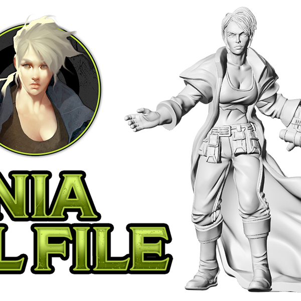 Echoes of the Breach - Fractured Futures: Nia Model STL File – Wyrd ...